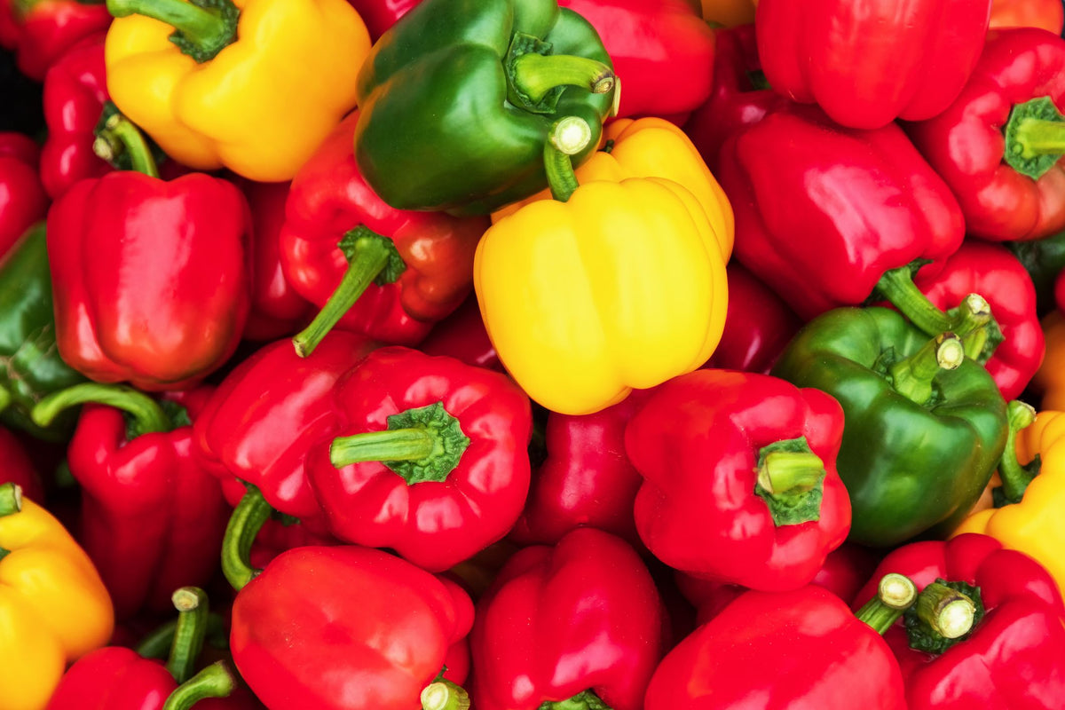 Vegetables – Denchfield Nursery, Inc.