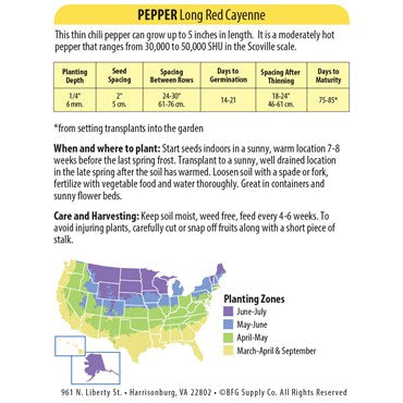Pepper Long Red Cayenne Seeds – Denchfield Nursery, Inc.