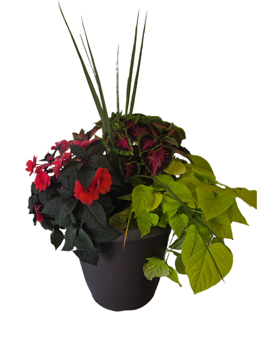 Heartbreaker Combo Patio Pot – Denchfield Nursery, Inc.