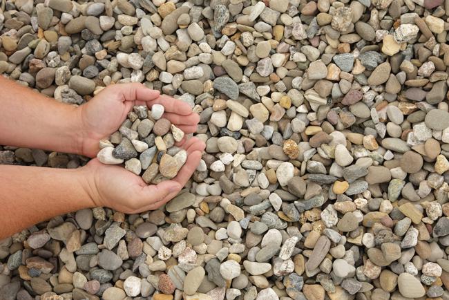 Delaware River Rock (1 Ton) – Denchfield Nursery, Inc.